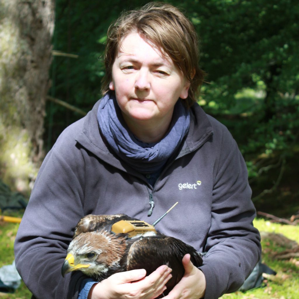 About Wild Justice - Wild Justice