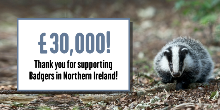 Badgers in Northern Ireland: Update 1.4.22 - Wild Justice