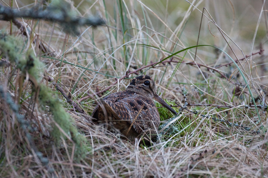 Defra rapped on knuckles by Petitions Committee - an update on our ...