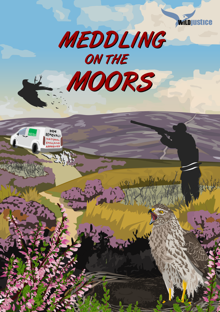 Meddling on the Moors - a Wild Justice report - Wild Justice
