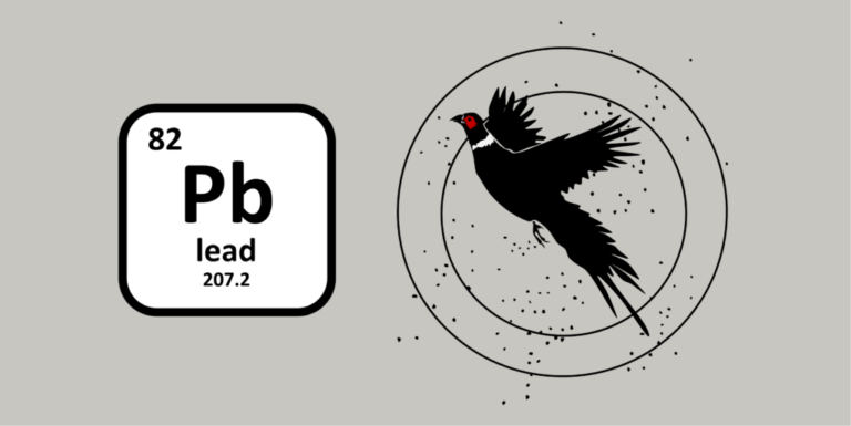 Leaden progress - Wild Justice