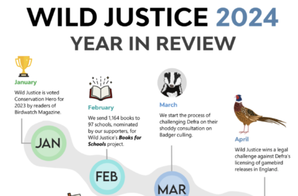 Wild Justice's 2024 - our year in review - Wild Justice