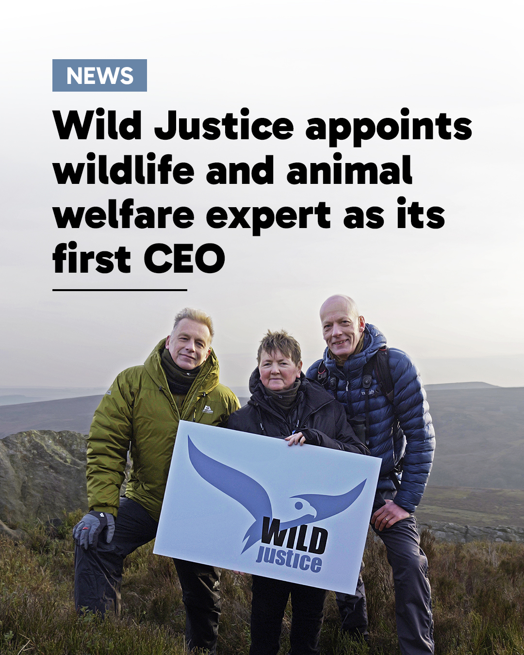 Wild Justice appoints first Chief Executive - Wild Justice